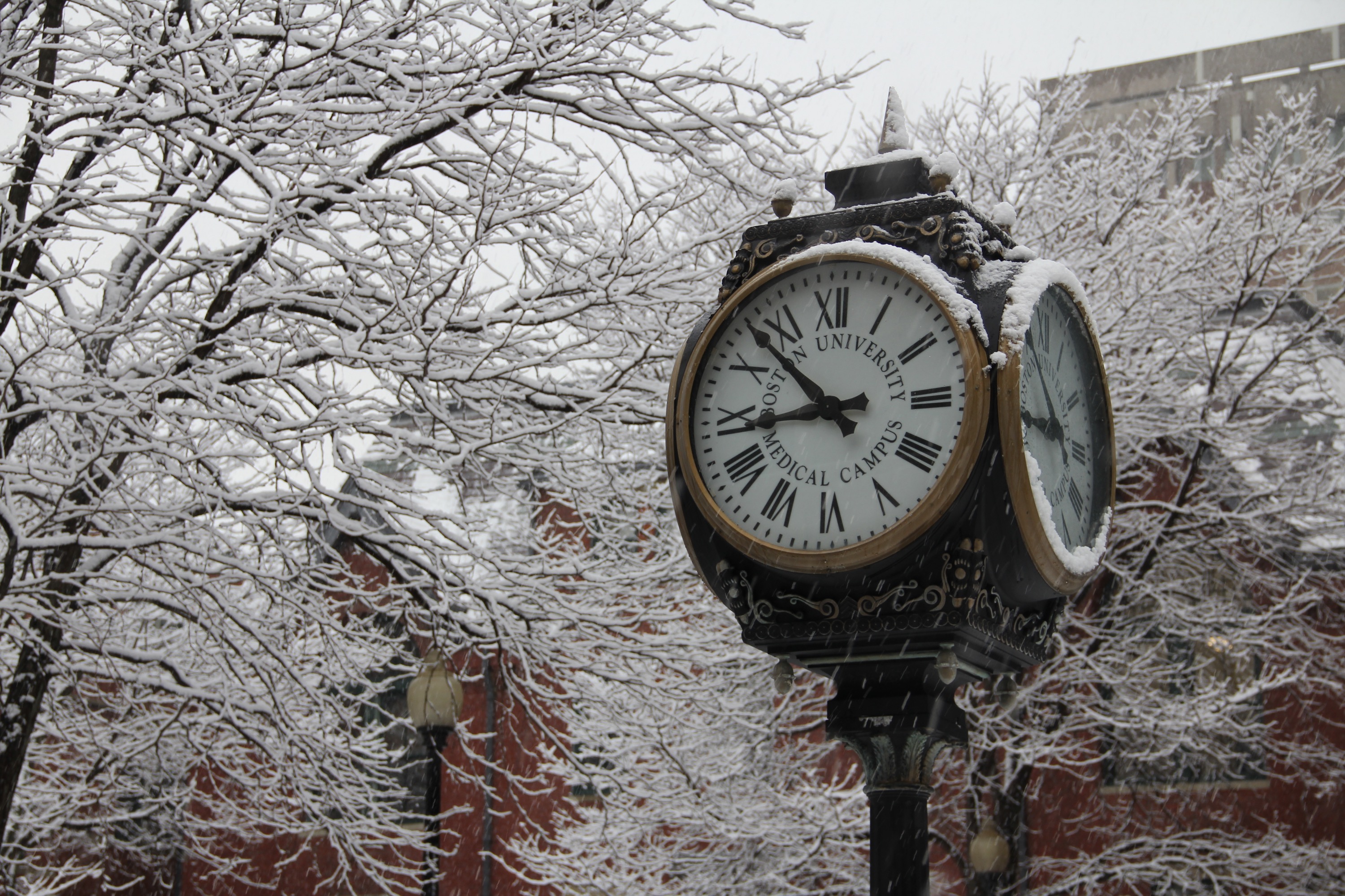 Winter Institute Population Health Exchange Boston University